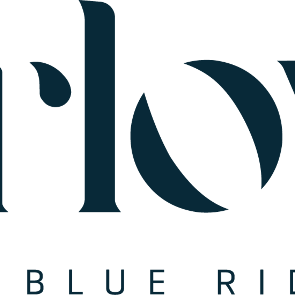 Apartments Raleigh, NC | Arlow at Blue Ridge
