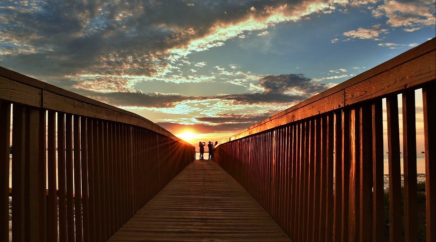 Contact Scottish Towers II Apartments in Dunedin, FL