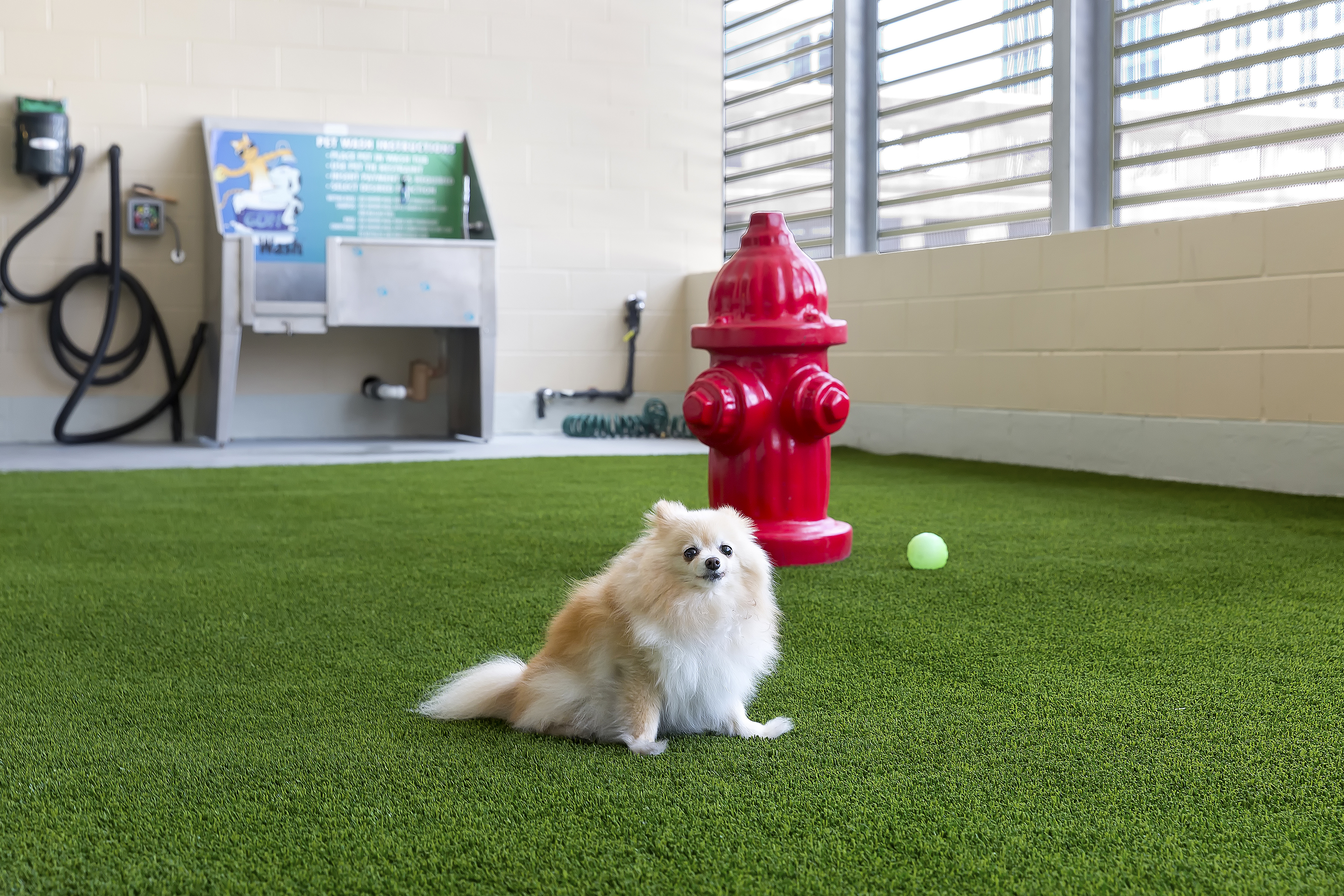 Downtown Austin Apartments | Whitley Apartments