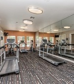 Apartments for Rent in Rosenberg, TX | 3101 Place - Home