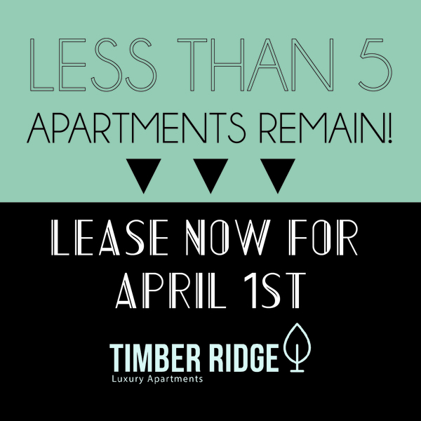 Timber Ridge Apartments Forest Lake MN, New Apartment Forest Lake MN ...