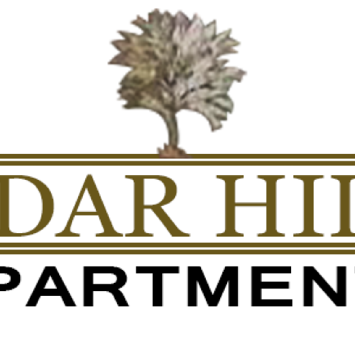 Cedar Hills Apartments Photo Gallery | Gallup, NM Apartment Pictures