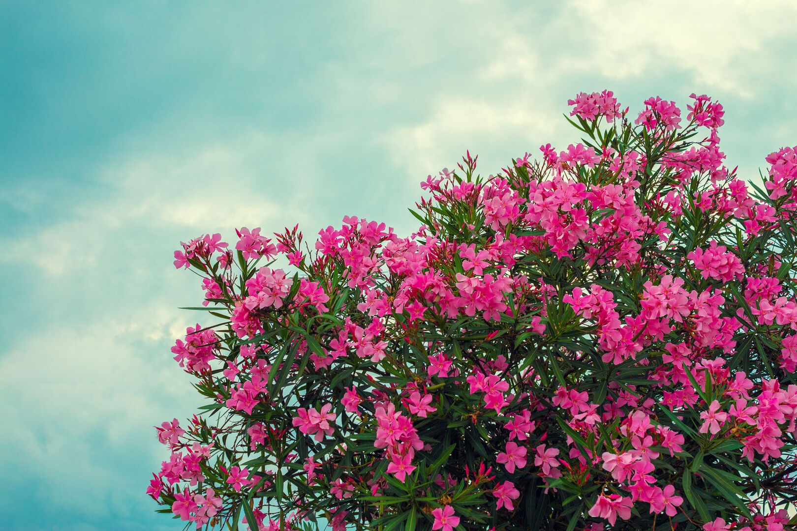 Apartments for Rent in Decatur, GA | Chapel Run - Home